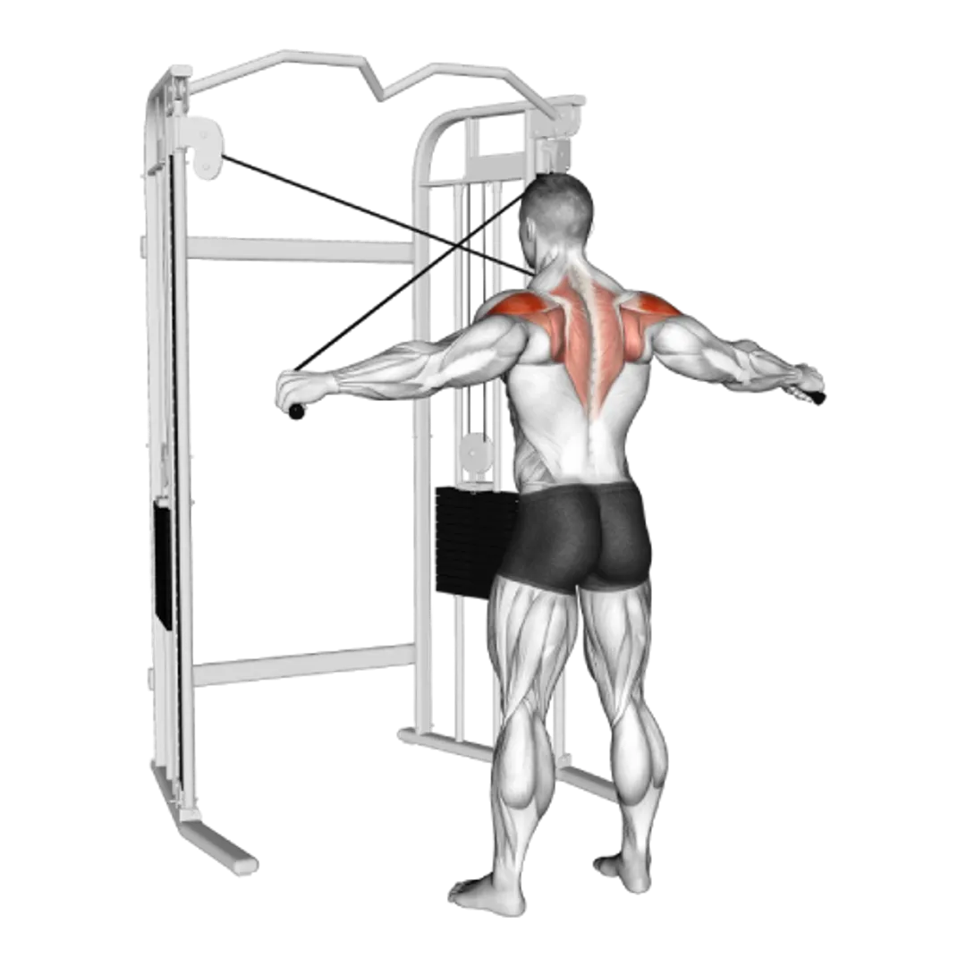 Dumbbell Reverse Fly: Guide, Muscles Worked, Tips | Athlemove