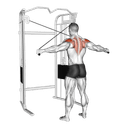 Band Reverse Fly: Guide, Muscles Worked, Tips | Athlemove