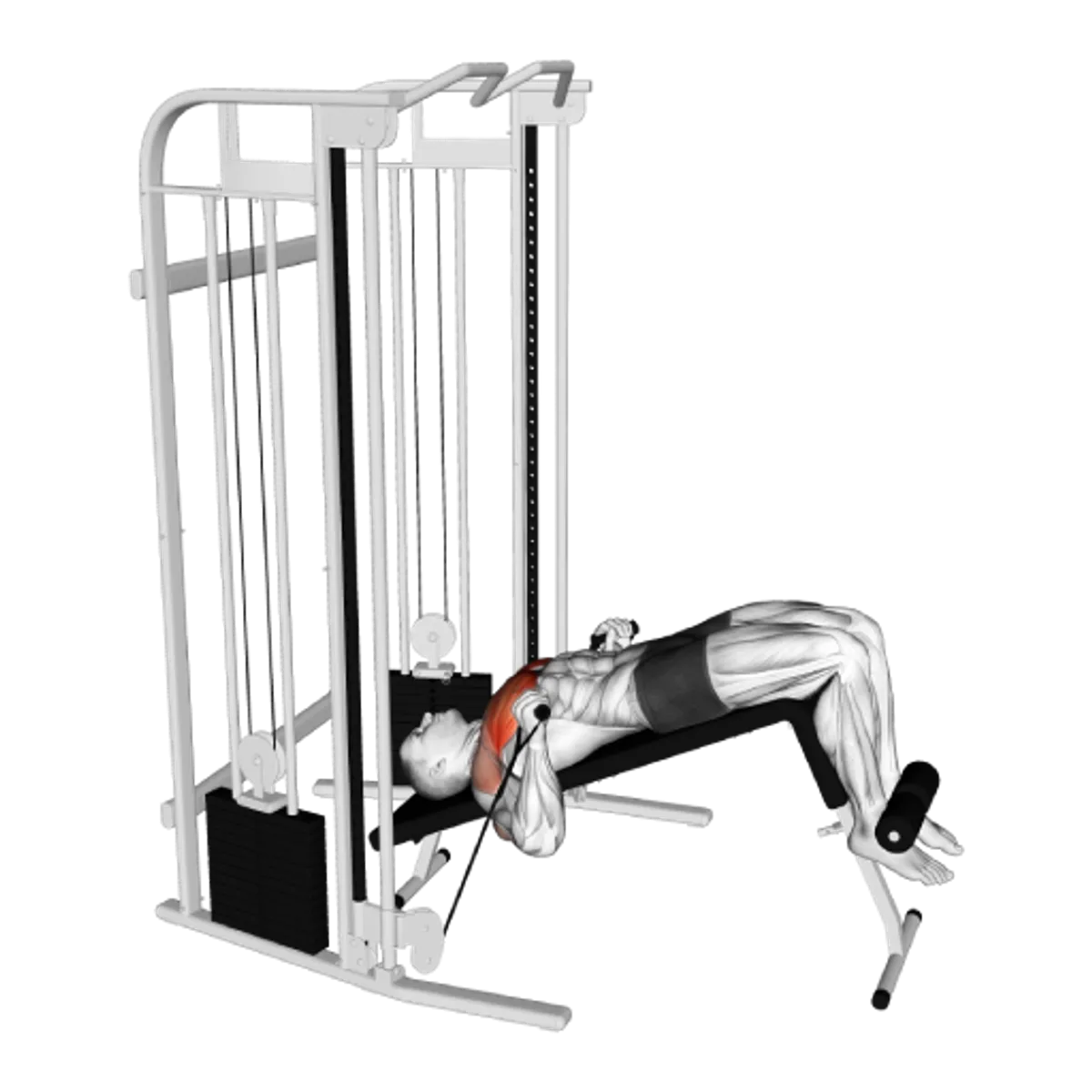 Decline Push-Up: Guide, Muscles Worked, Tips | Athlemove