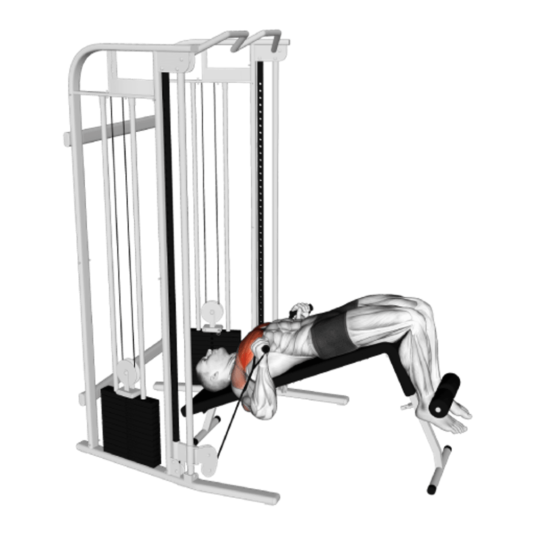 Decline Push-Up: Guide, Muscles Worked, Tips | Athlemove
