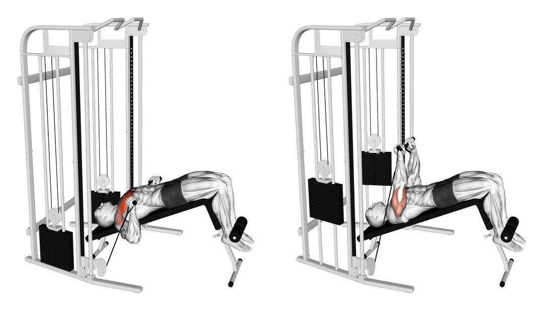 Cable Decline Bench Press: Guide, Muscles Worked, Tips | Athlemove