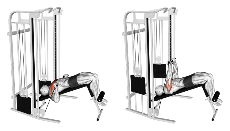 Cable Decline Bench Press: Guide, Muscles Worked, Tips | Athlemove