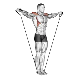 Machine Lateral Raise: Guide, Muscles Worked, Tips | Athlemove