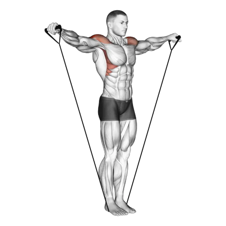 Cable Single-Arm Lateral Raise: Guide, Muscles Worked, Tips | Athlemove