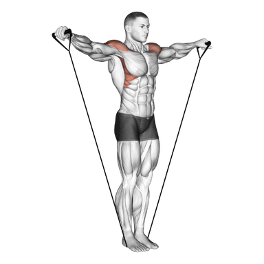 Machine Lateral Raise: Guide, Muscles Worked, Tips | Athlemove