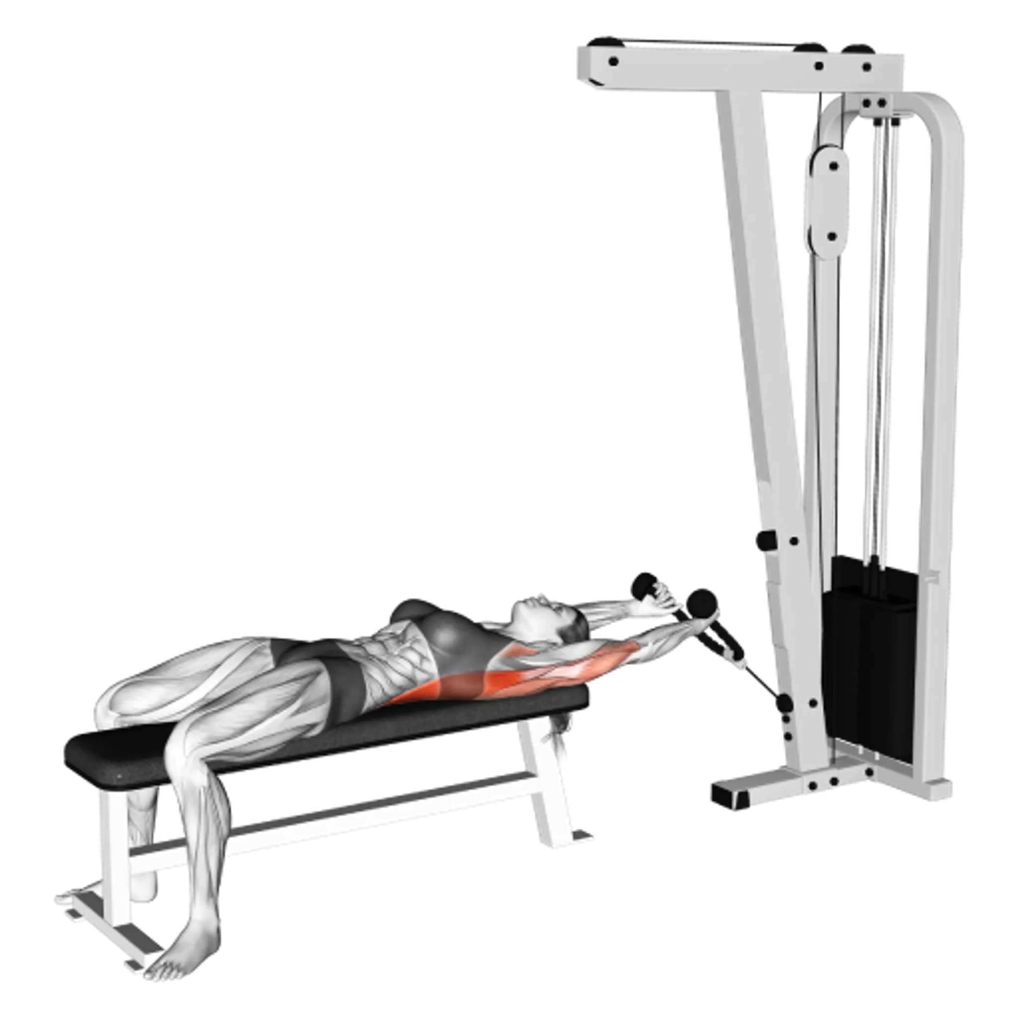 Assisted Pull-Up: Guide, Muscles Worked, Tips | Athlemove