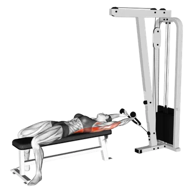 Cable Straight Arm Pulldown: Guide, Muscles Worked, Tips | Athlemove