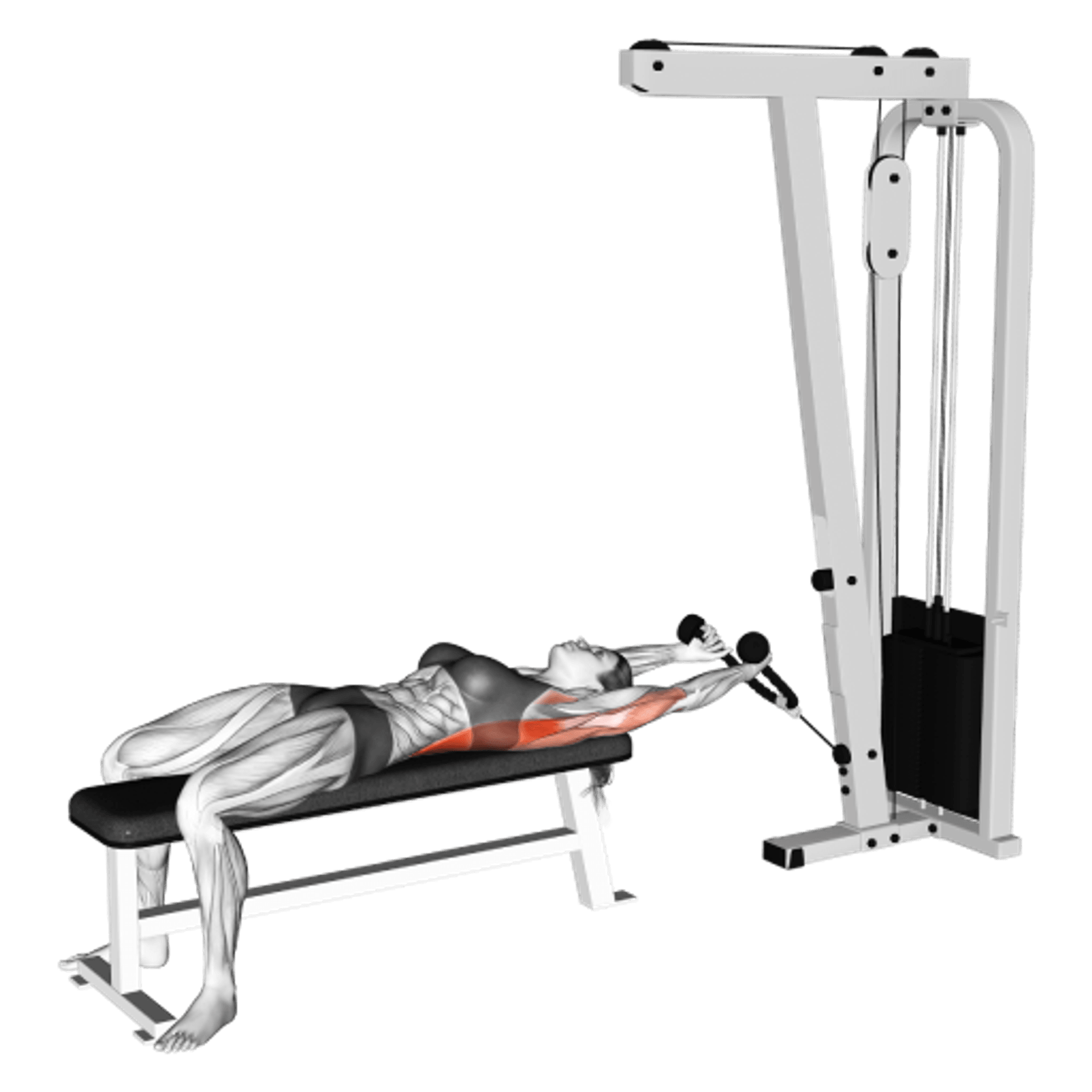 Barbell Pullover: Guide, Muscles Worked, Tips | Athlemove