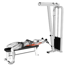 Dumbbell Pullover: Guide, Muscles Worked, Tips | Athlemove