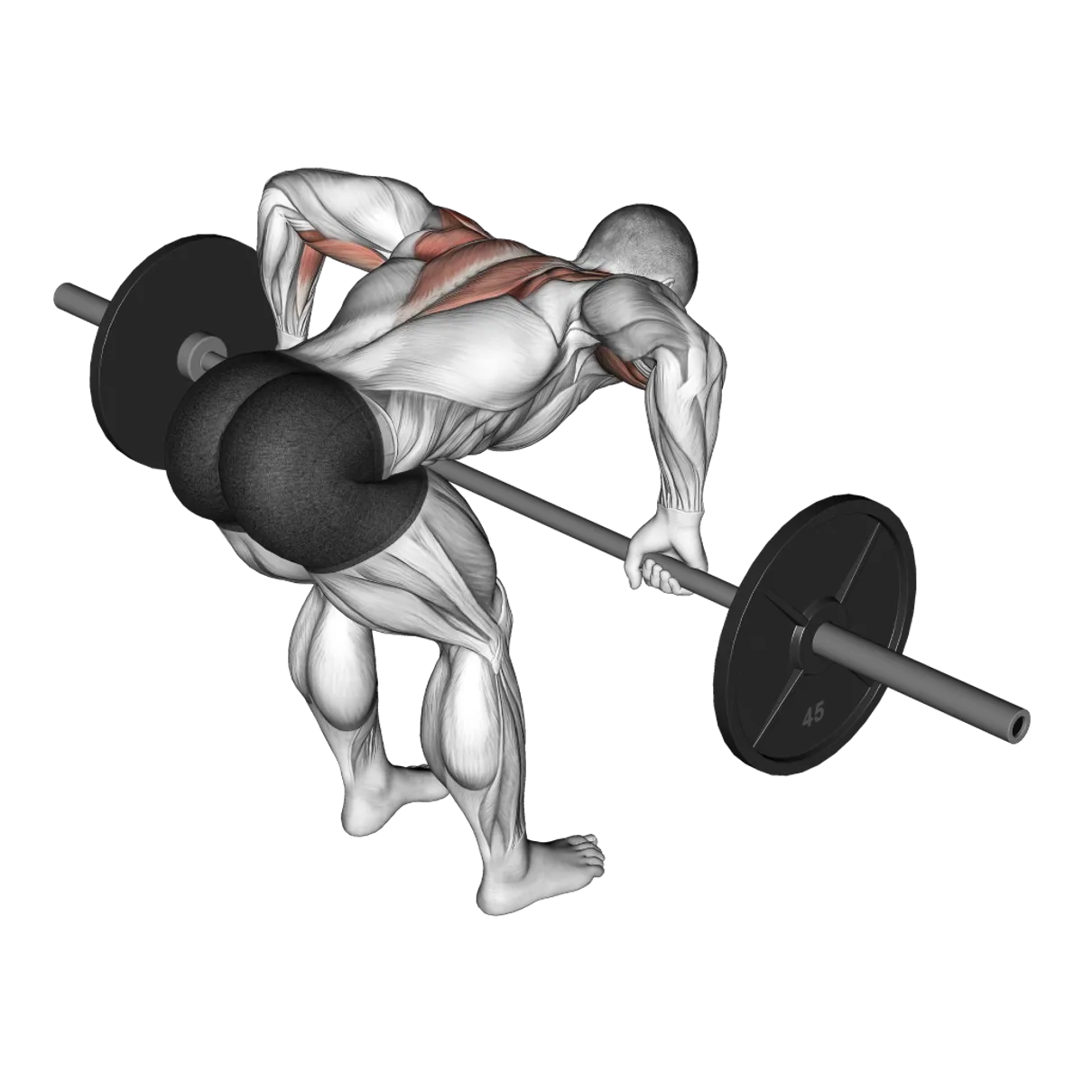 Machine Reverse Fly: Guide, Muscles Worked, Tips | Athlemove