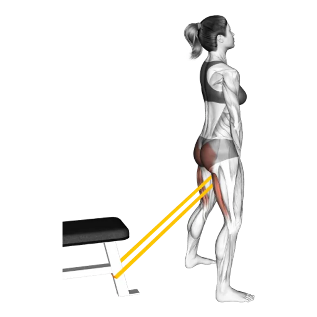 Cable Pull Through: Guide, Muscles Worked, Tips | Athlemove