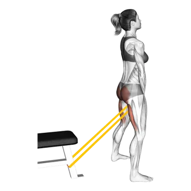 Cable Pull Through: Guide, Muscles Worked, Tips | Athlemove