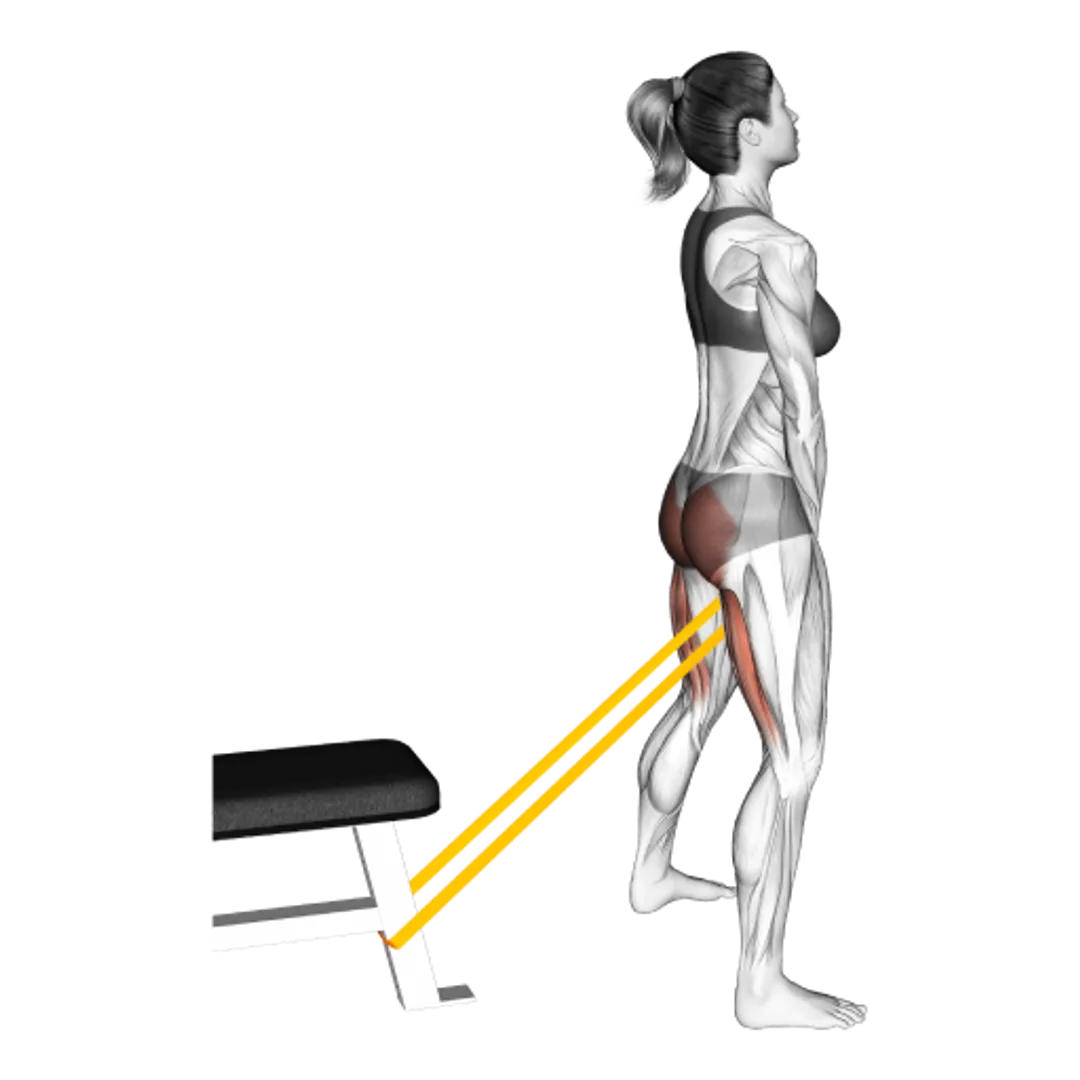 Cable Pull Through: Guide, Muscles Worked, Tips | Athlemove