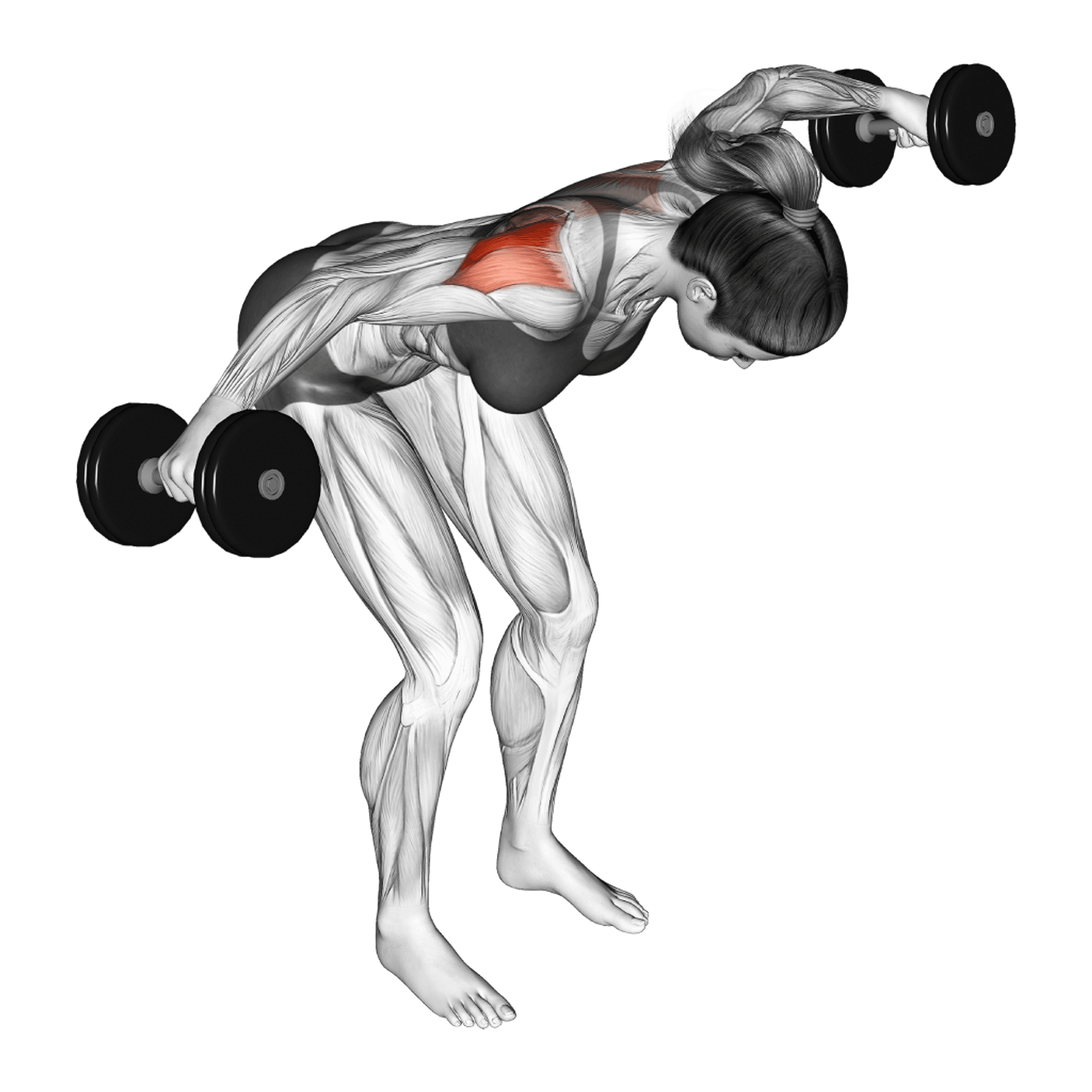 7 Best Dumbbell Exercises for Shoulders | Athlemove