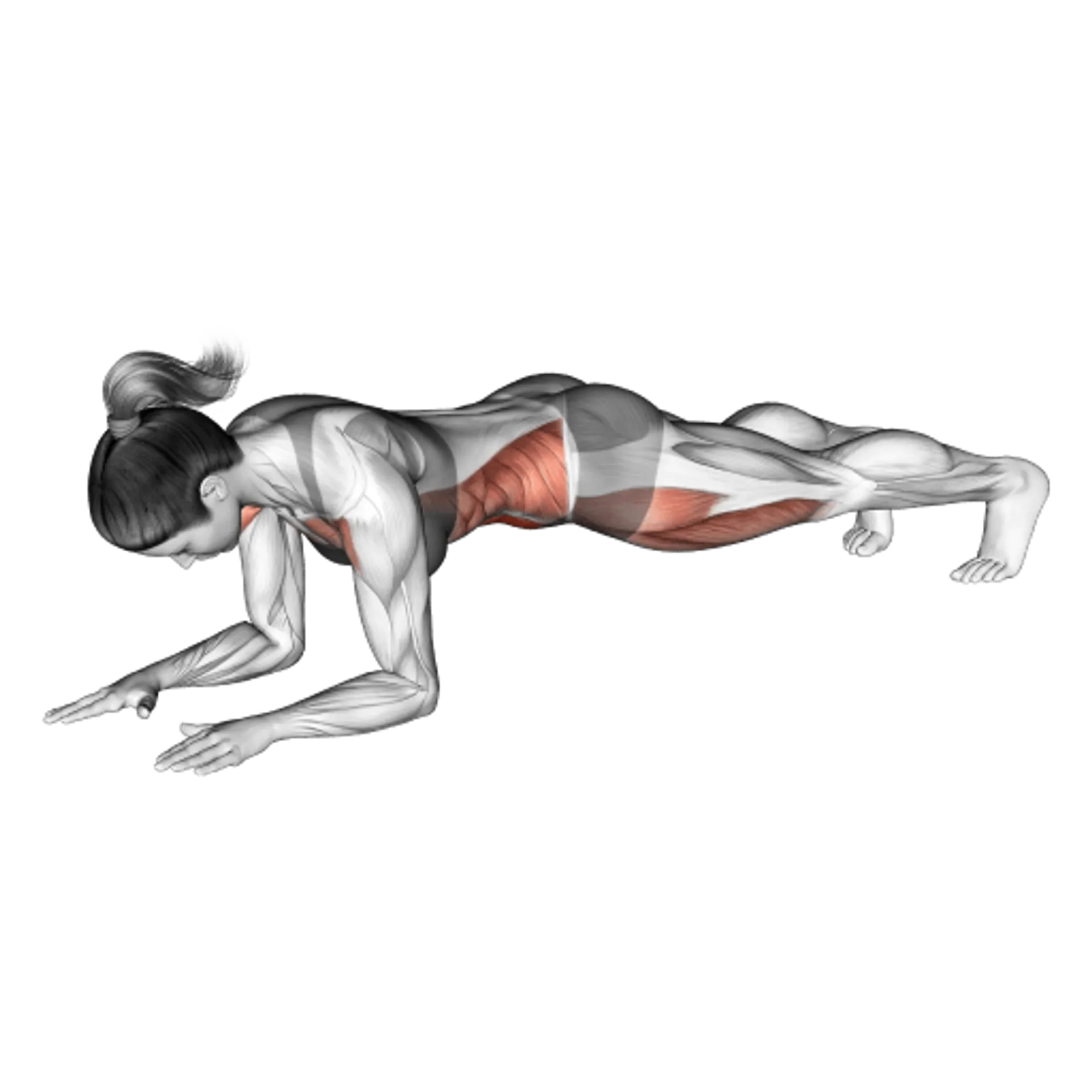 Side Plank: Guide, Muscles Worked, Tips | Athlemove