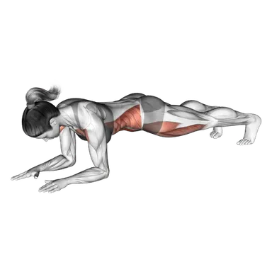 Side Plank: Guide, Muscles Worked, Tips | Athlemove