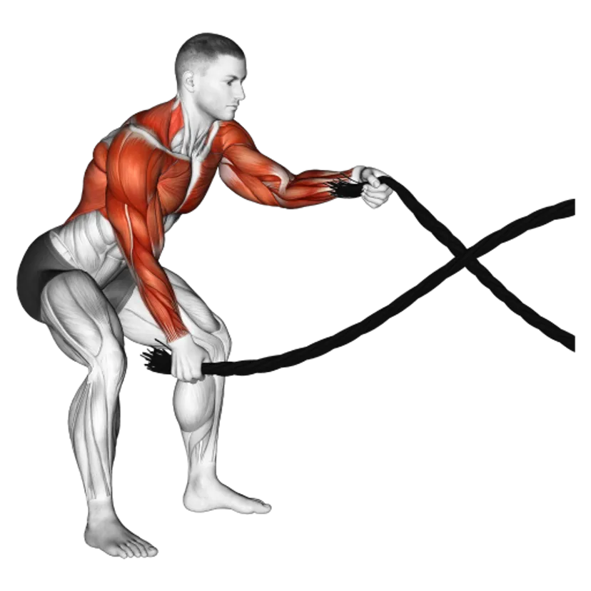 Arm Circles: Guide, Muscles Worked, Tips | Athlemove