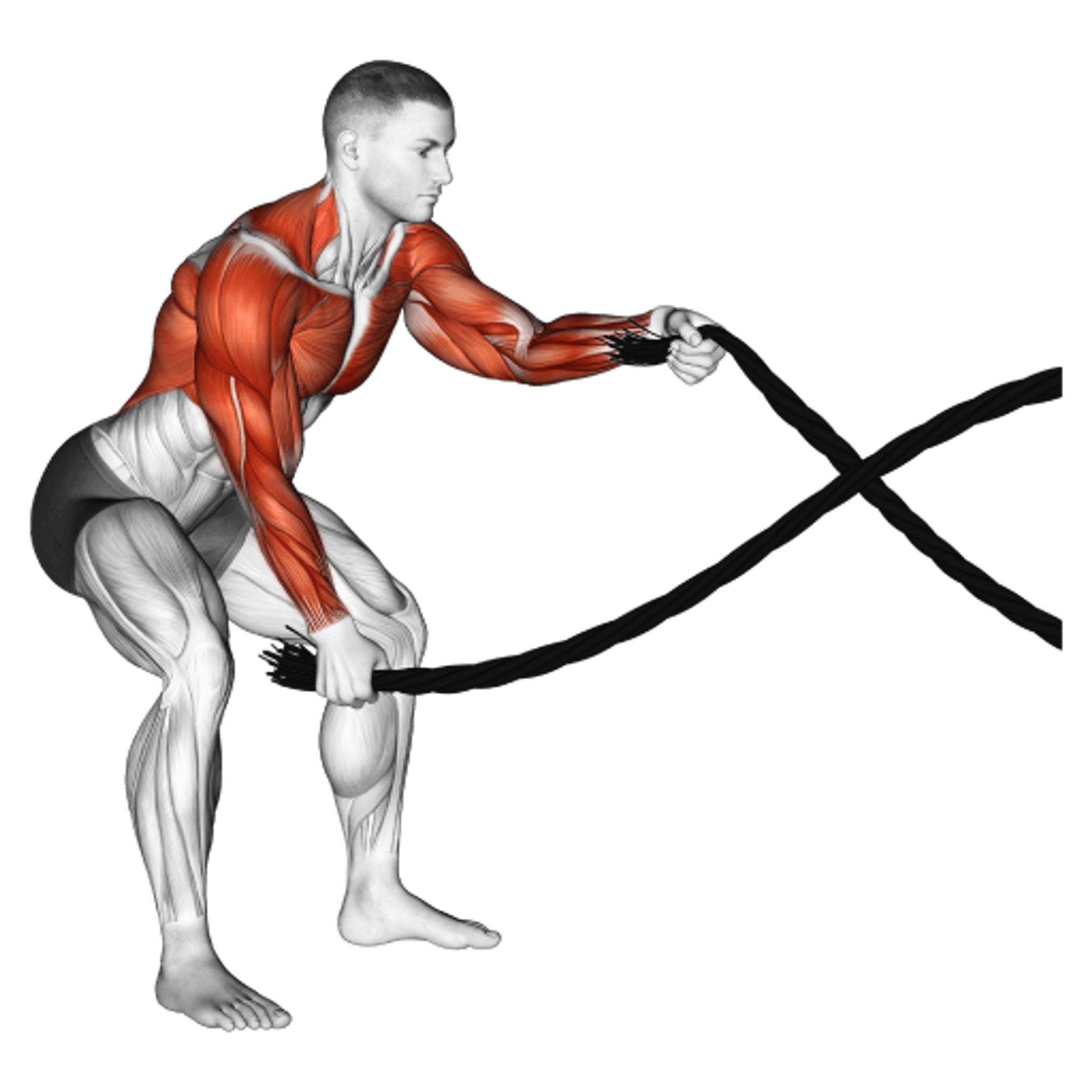 Arm Circles: Guide, Muscles Worked, Tips | Athlemove