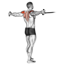 Arm Circles: Guide, Muscles Worked, Tips | Athlemove