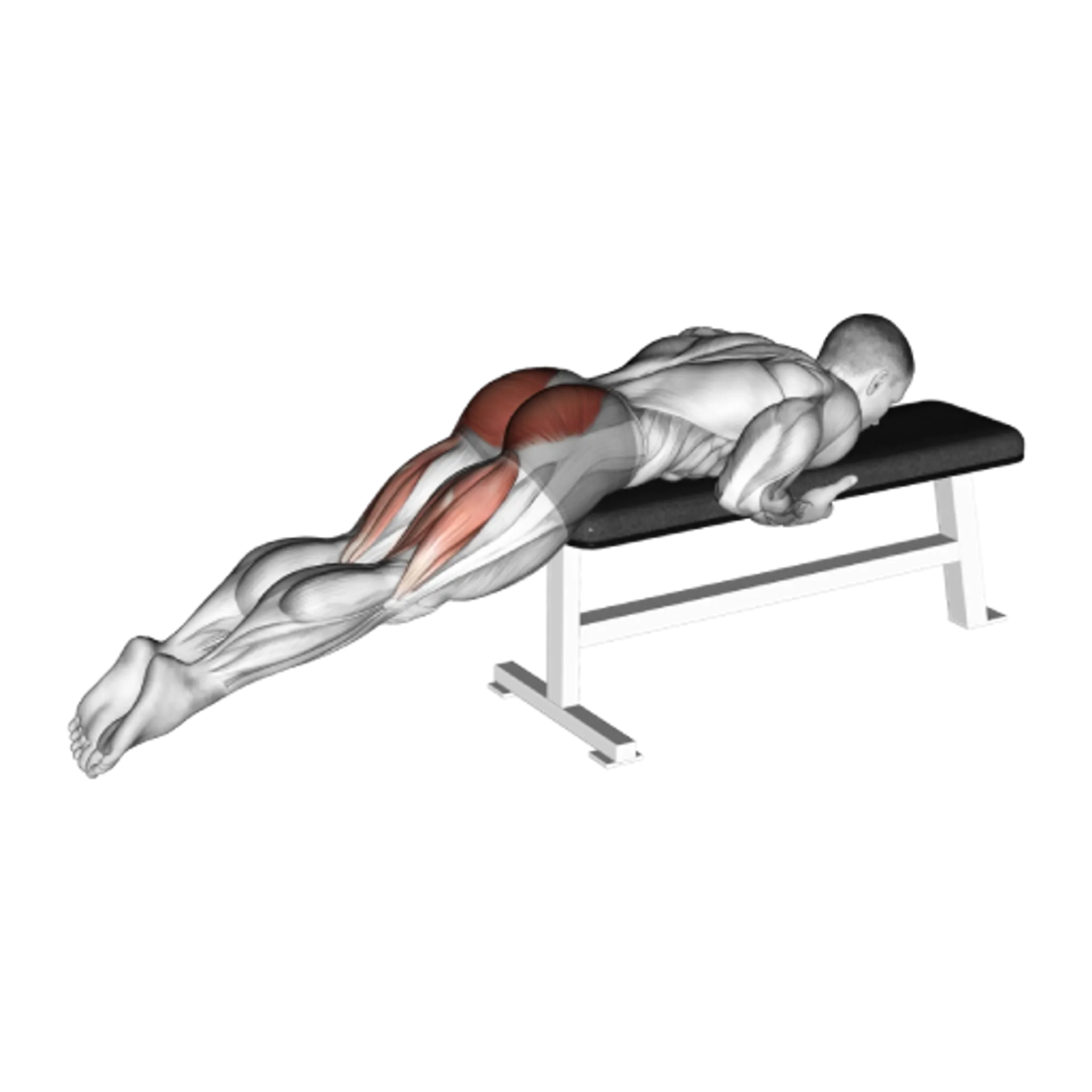Cable Pull-Through: Guide, Muscles Worked, Tips | Athlemove