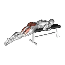 Hyperextension: Guide, Muscles Worked, Tips | Athlemove