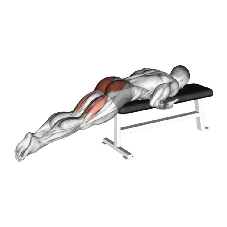 Machine Back Extension: Guide, Muscles Worked, Tips | Athlemove