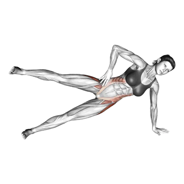 Cable Hip Abduction: Guide, Muscles Worked, Tips | Athlemove