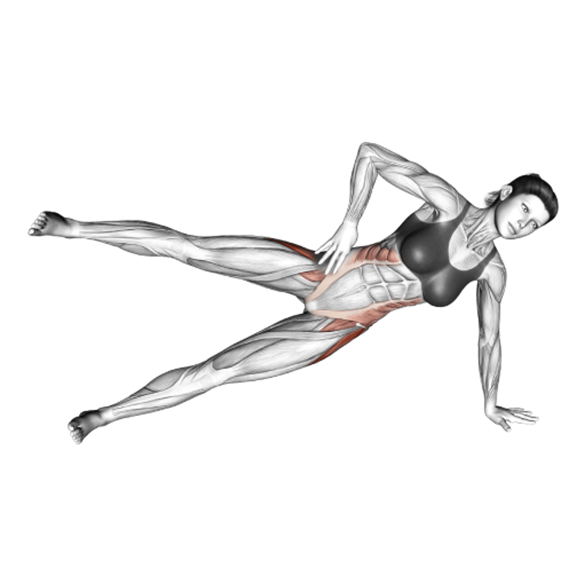 Clamshell: Guide, Muscles Worked, Tips | Athlemove