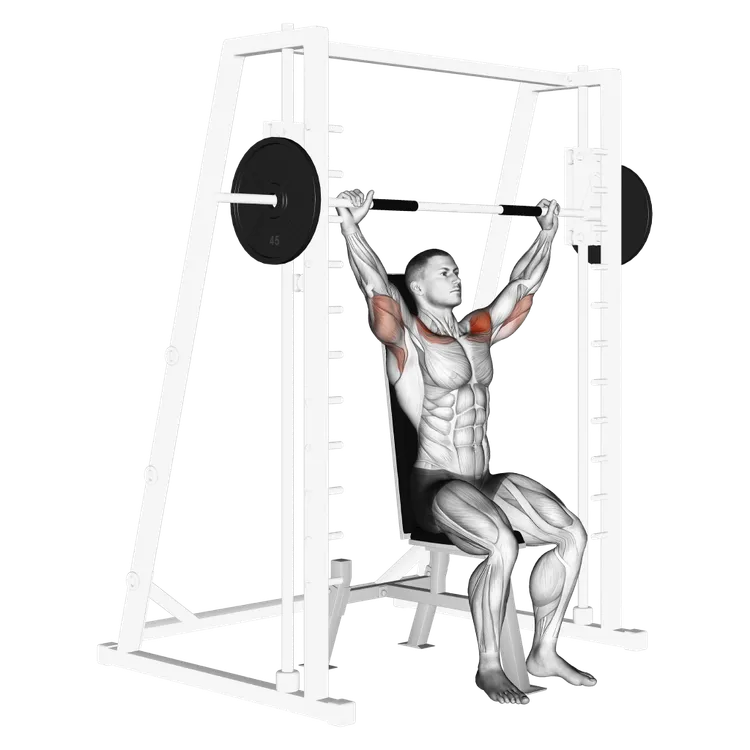 Barbell Standing Military Press: Guide, Muscles Worked, Tips | Athlemove