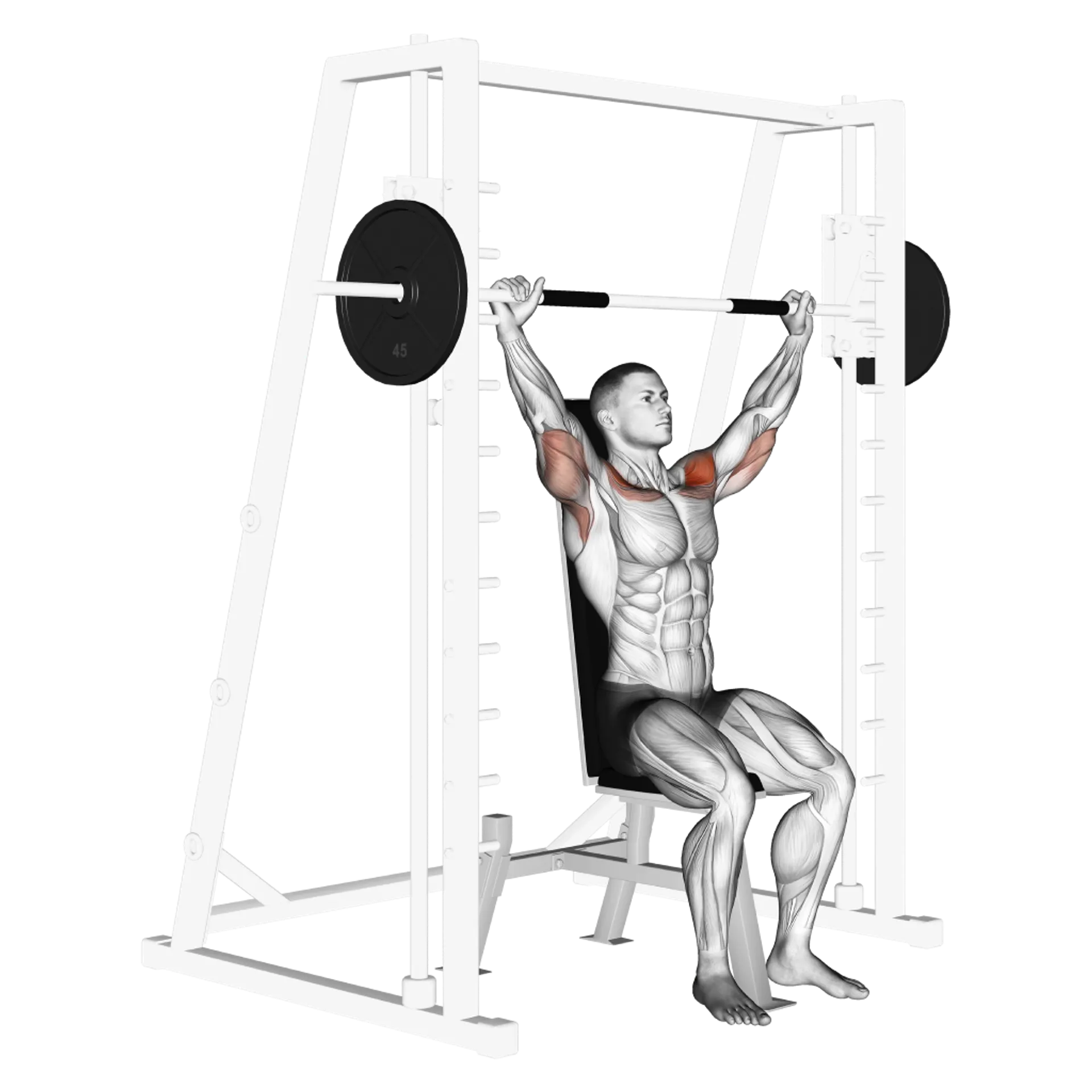 Barbell Overhead Press: Guide, Muscles Worked, Tips | Athlemove