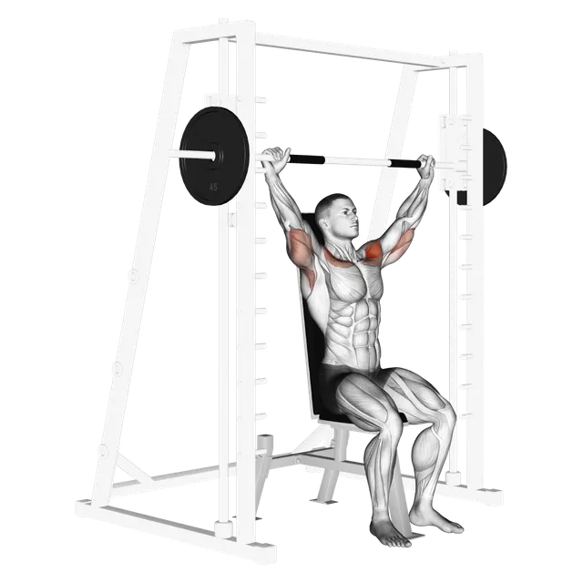 Barbell Standing Military Press: Guide, Muscles Worked, Tips | Athlemove