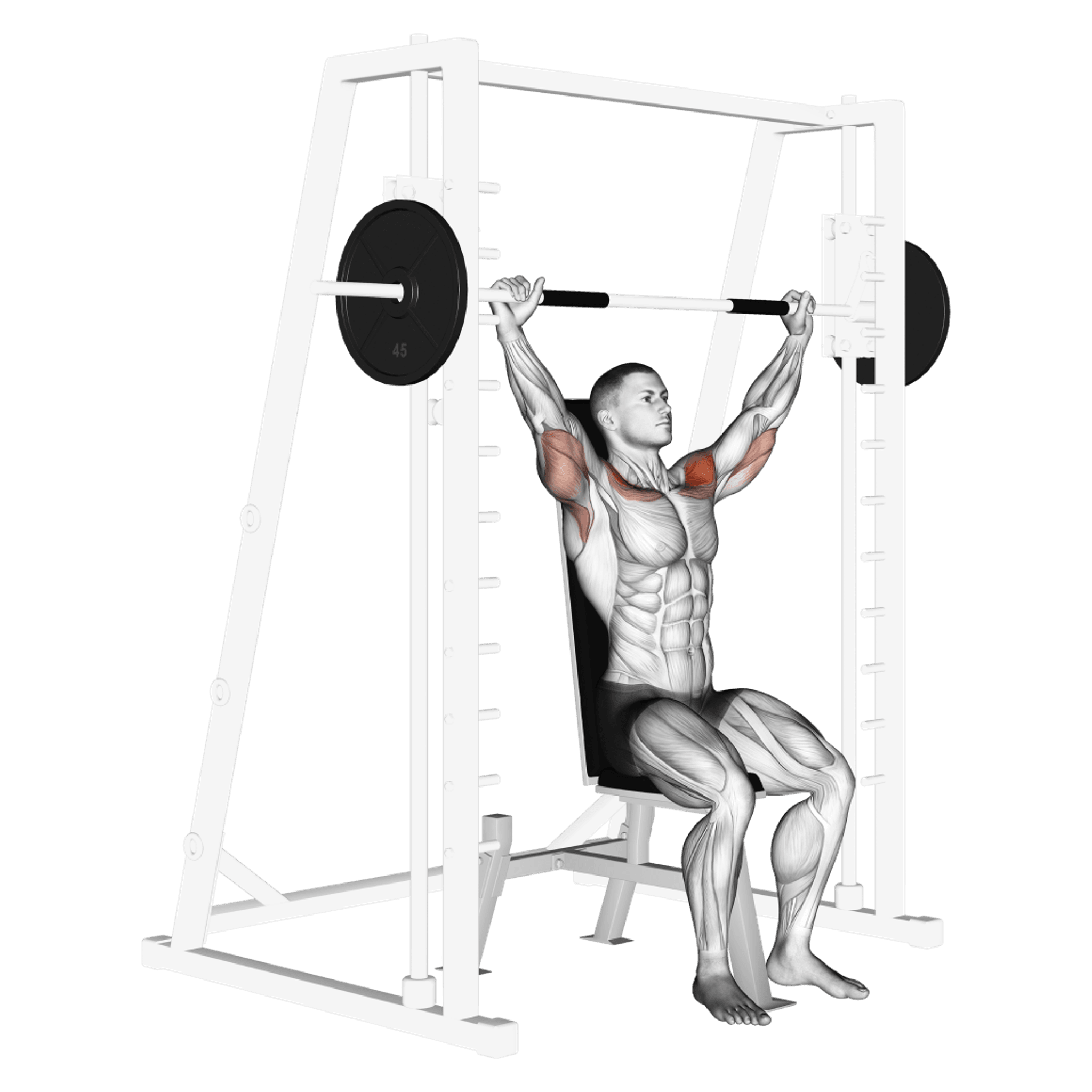 Machine Shoulder Press: Guide, Muscles Worked, Tips | Athlemove