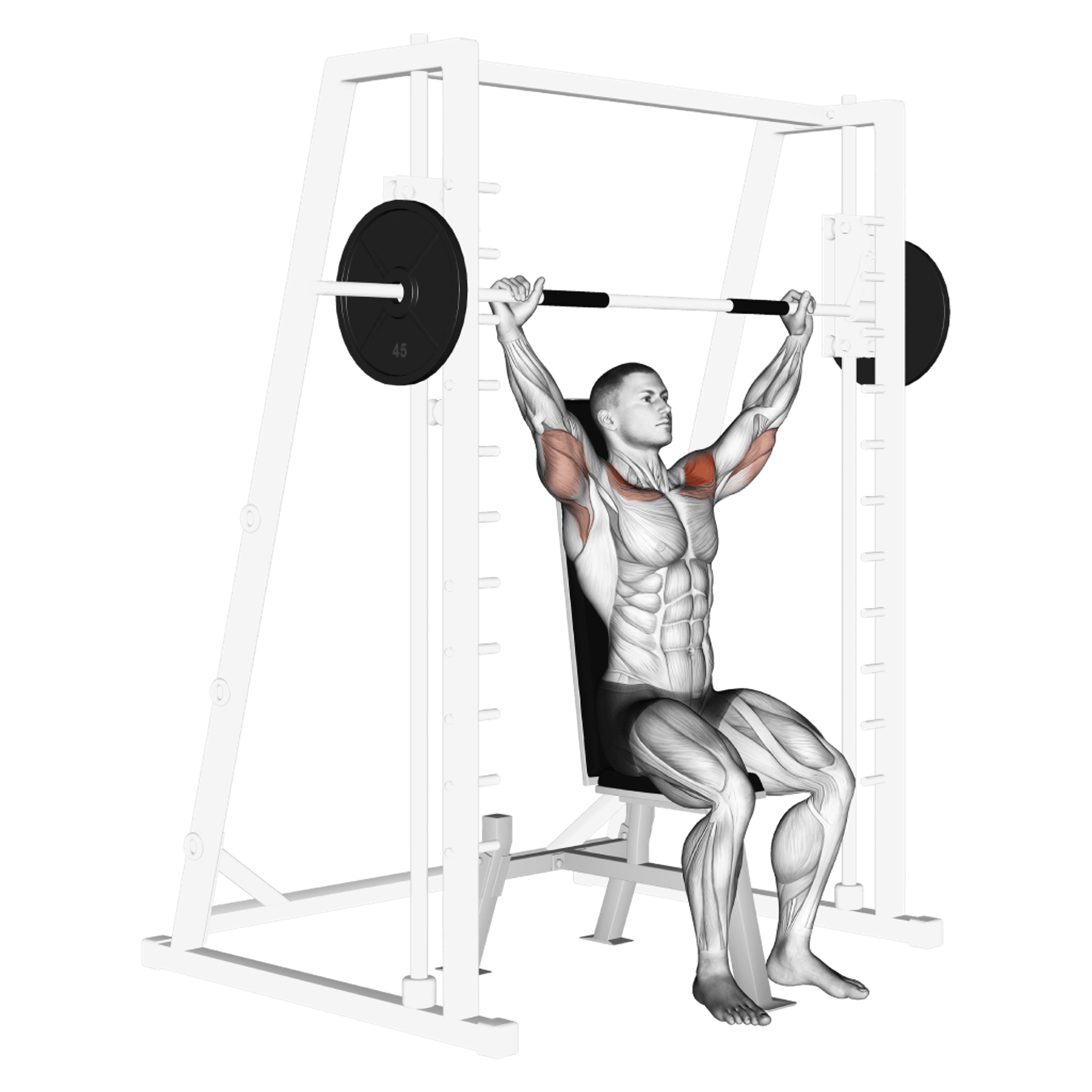 Barbell Clean and Press: Guide, Muscles Worked, Tips | Athlemove