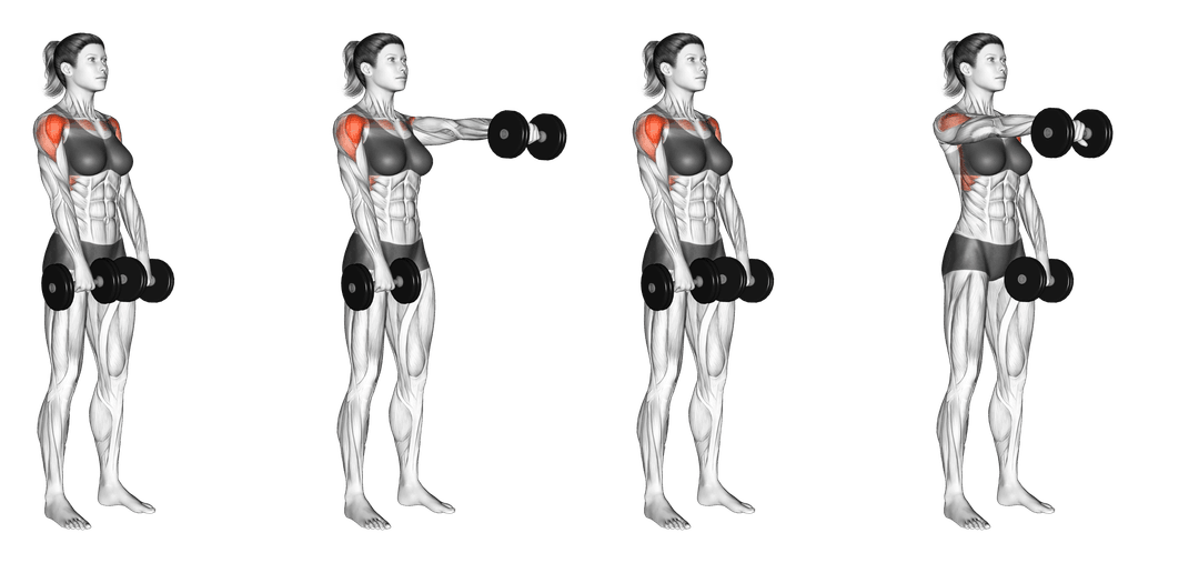 Exercise Library & Database | Athlemove