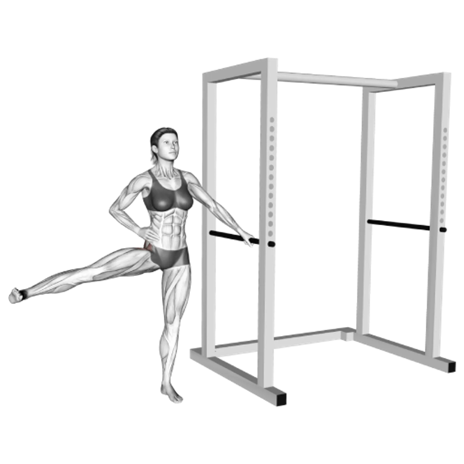 Clamshell: Guide, Muscles Worked, Tips | Athlemove