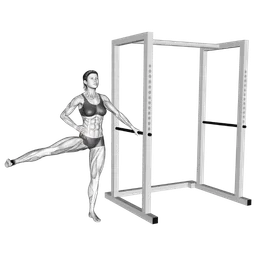 Cable Hip Abduction: Guide, Muscles Worked, Tips | Athlemove