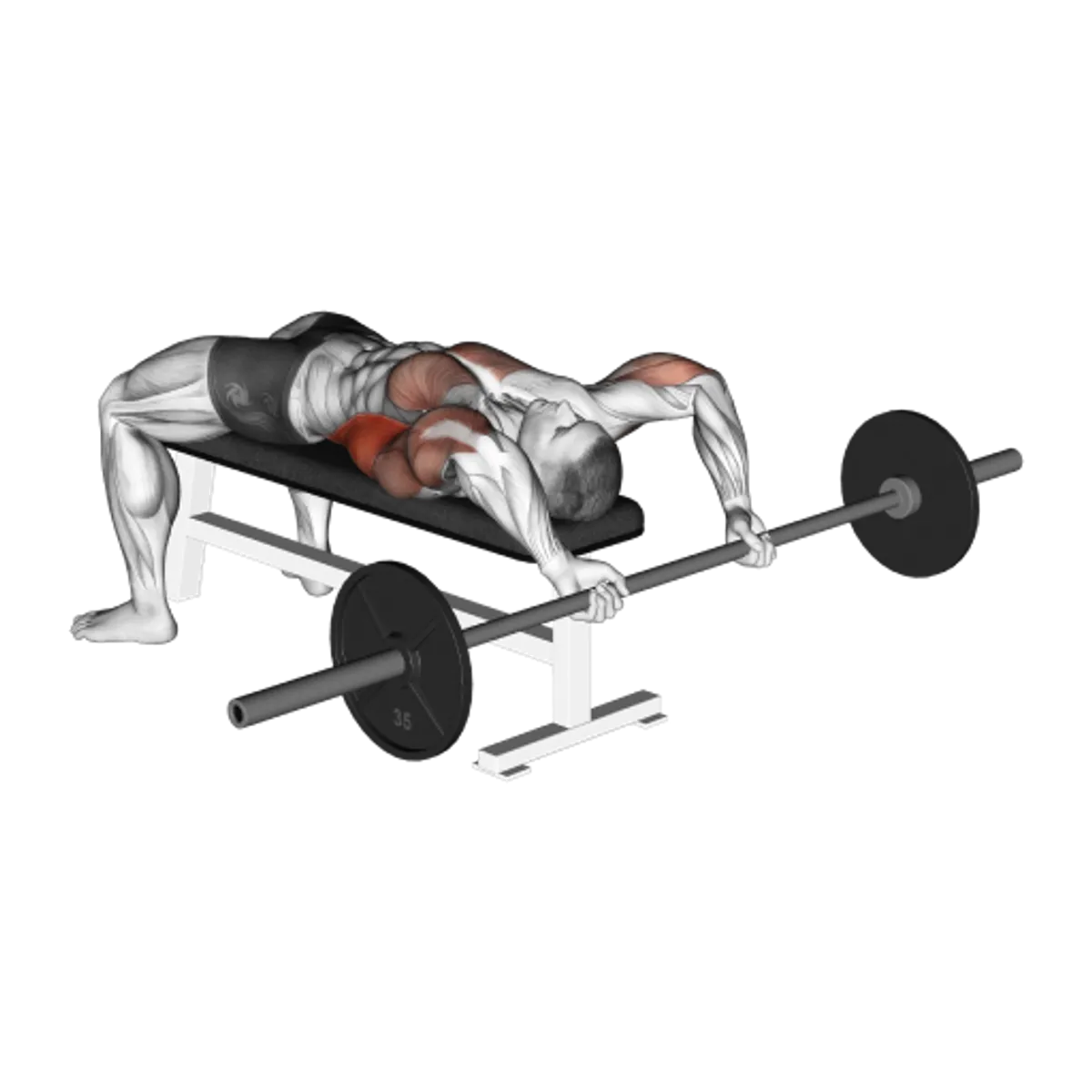 Cable Straight Arm Pulldown: Guide, Muscles Worked, Tips | Athlemove