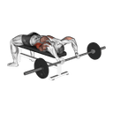 Dumbbell Pullover: Guide, Muscles Worked, Tips | Athlemove