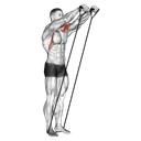 Arm Circles: Guide, Muscles Worked, Tips | Athlemove