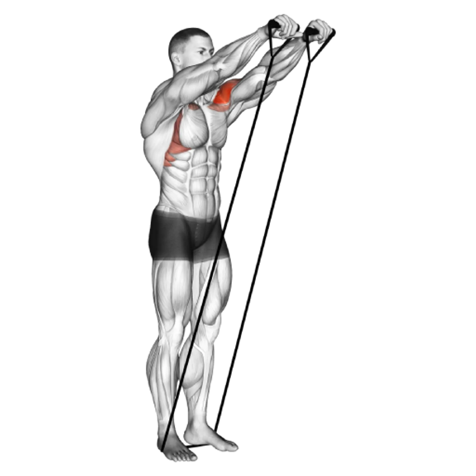 Arm Circles: Guide, Muscles Worked, Tips | Athlemove
