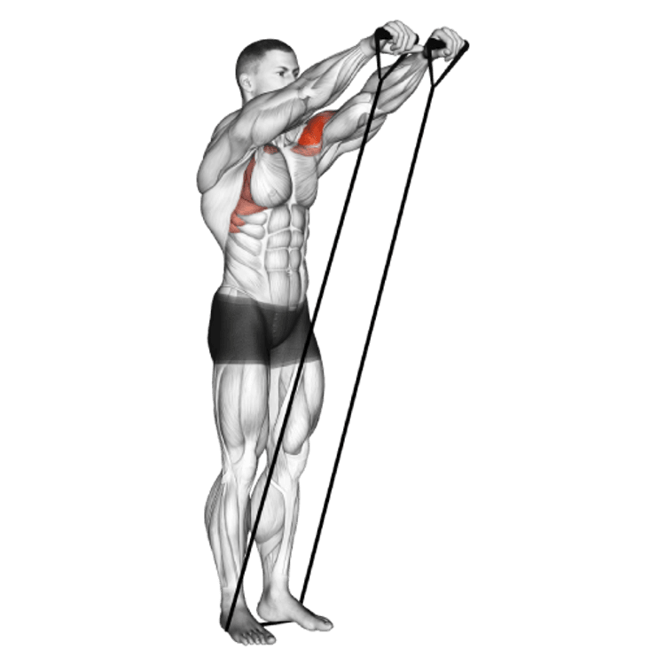 Cable Front Raise: Guide, Muscles Worked, Tips | Athlemove