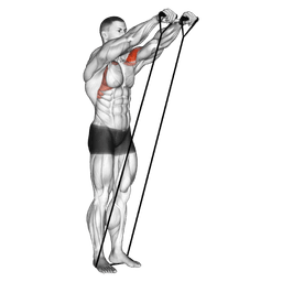 Arm Circles: Guide, Muscles Worked, Tips | Athlemove