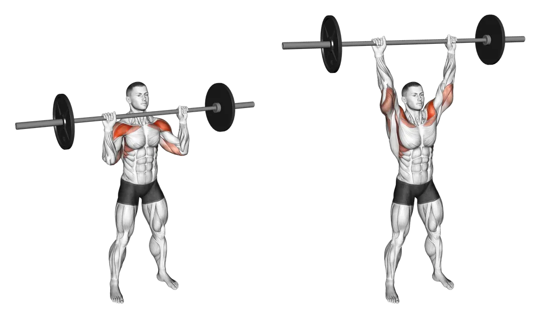 The Big Five: 5 Best Compound Movement Exercises for Maximum Gains ...
