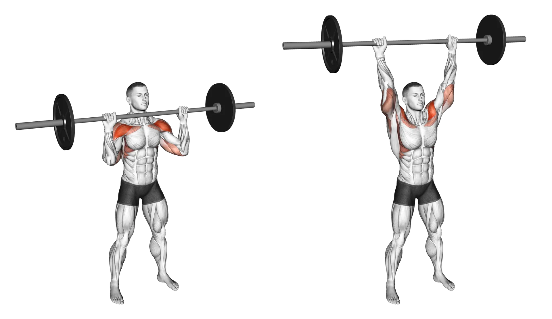 The Big Five: 5 Best Compound Movement Exercises for Maximum Gains ...
