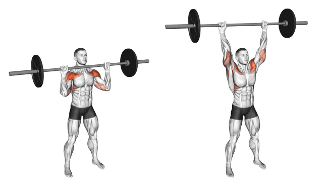 Barbell Overhead Press: Guide, Muscles Worked, Tips | Athlemove