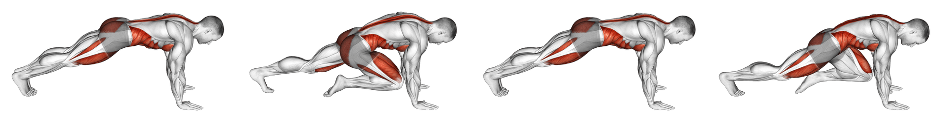 Mountain Climber: Guide, Muscles Worked, Tips | Athlemove