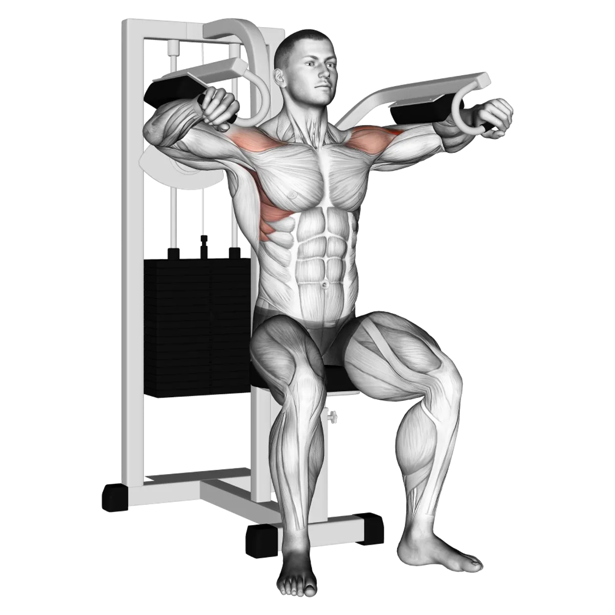 Cable Single-Arm Lateral Raise: Guide, Muscles Worked, Tips | Athlemove