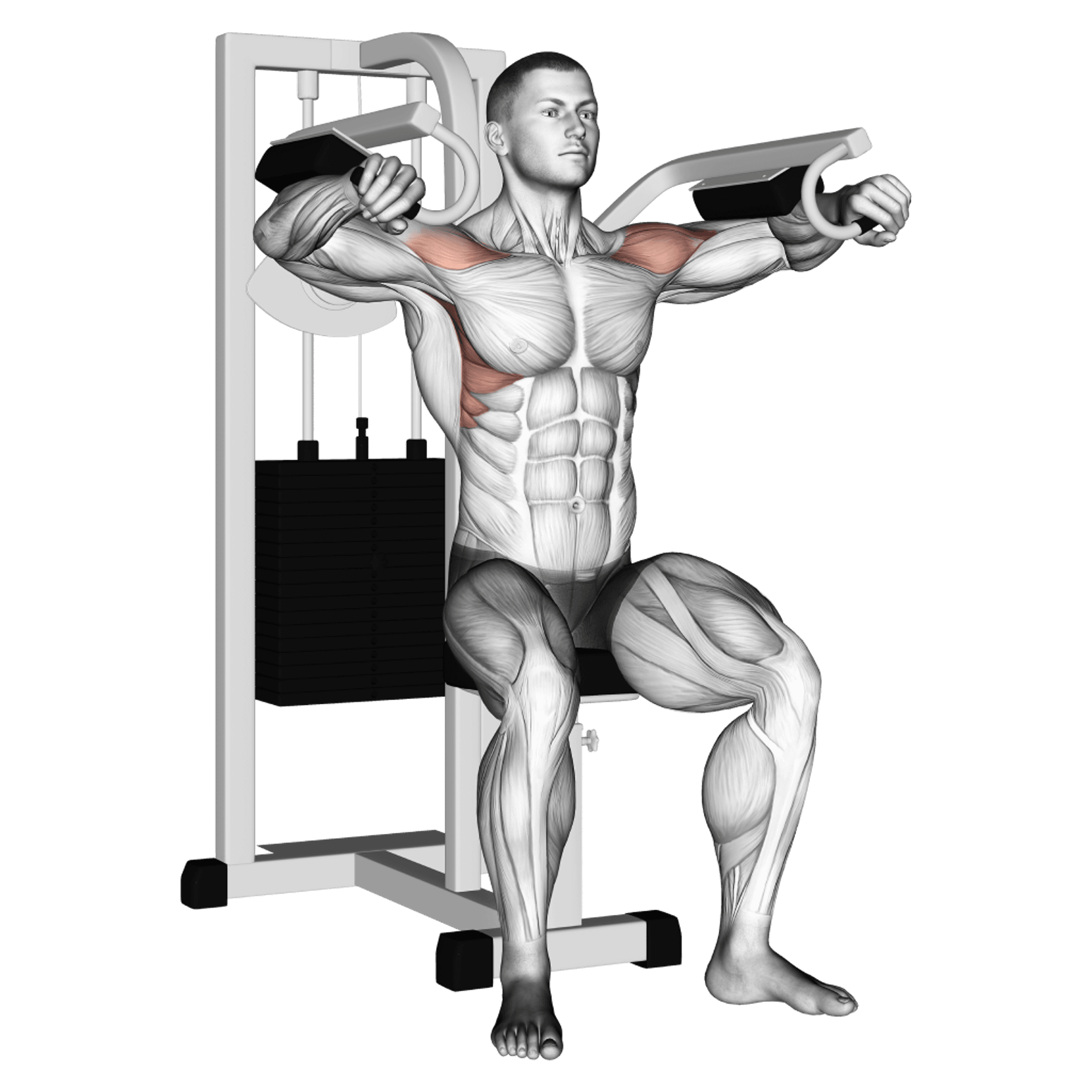 Cable Single-Arm Lateral Raise: Guide, Muscles Worked, Tips | Athlemove