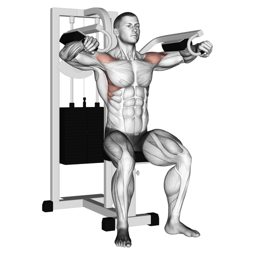 Cable Single-Arm Lateral Raise: Guide, Muscles Worked, Tips | Athlemove