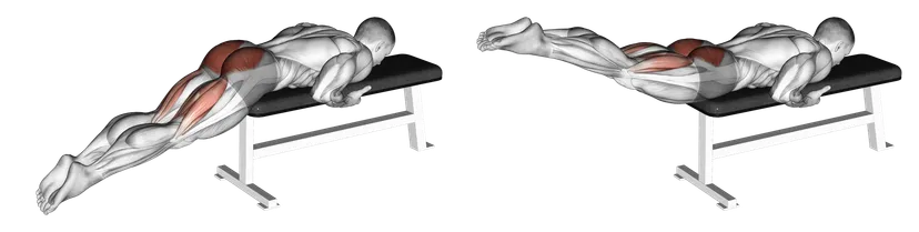 Reverse Hyperextension: Guide, Muscles Worked, Tips | Athlemove